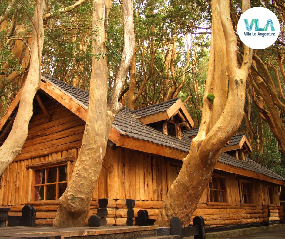 Arrayanes Forest National Park - Villa la Angostura travel