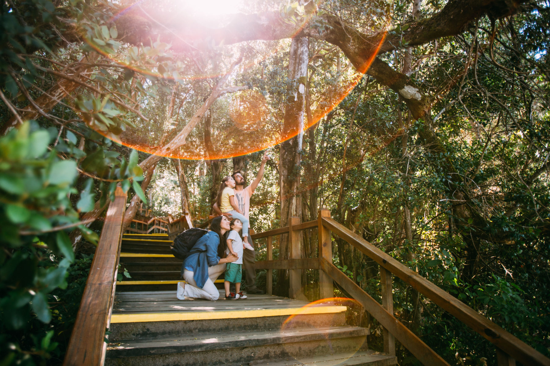 Parque Nacional Los Arrayanes - Villa la Angostura Turismo